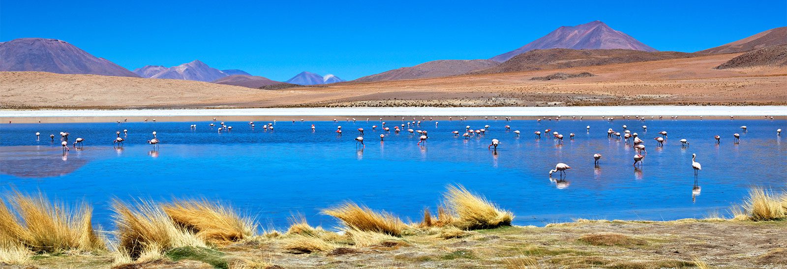 Bolívia | Interpoint